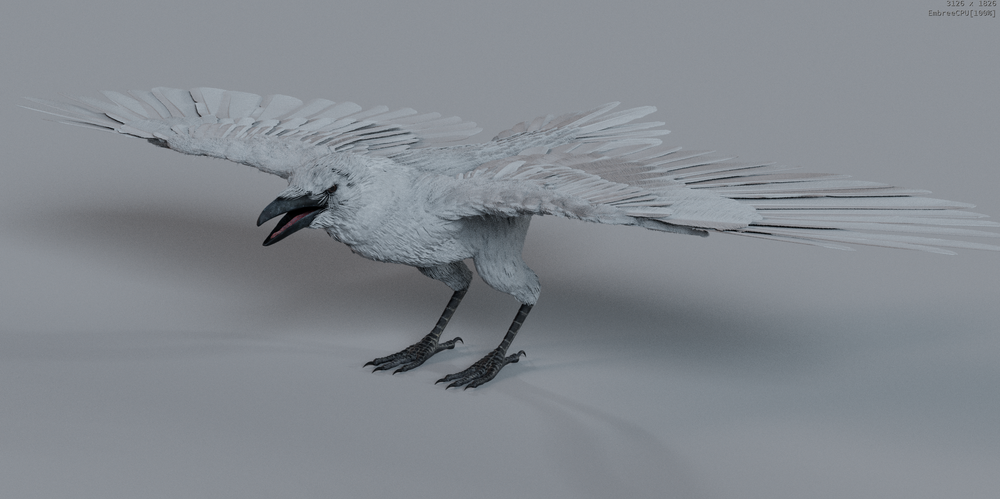Creating and animating a Bird in Houdini (+ Solaris Feather Export HDA)