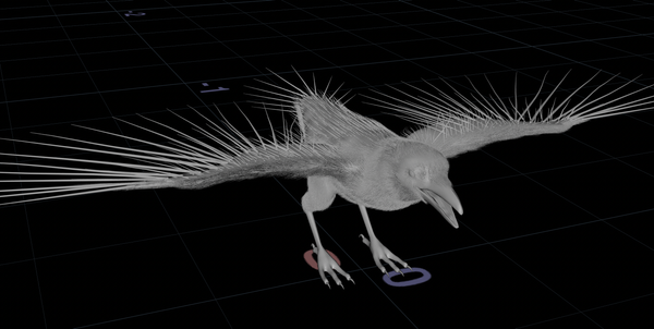 Creating and animating a Bird in Houdini (+ Solaris Feather Export HDA)