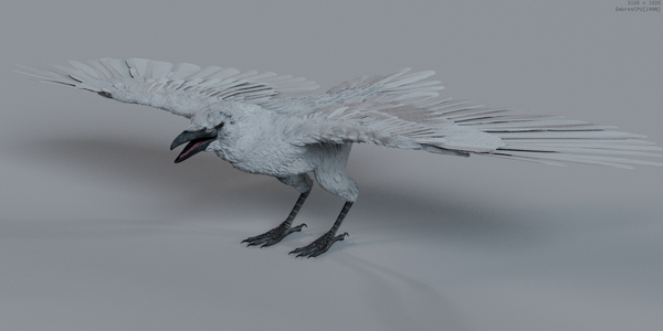 Creating and animating a Bird in Houdini (+ Solaris Feather Export HDA)